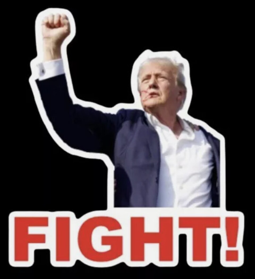Pro Donald Trump "fight" Defiant Sticker DECAL Trump 2024 Attempted ...