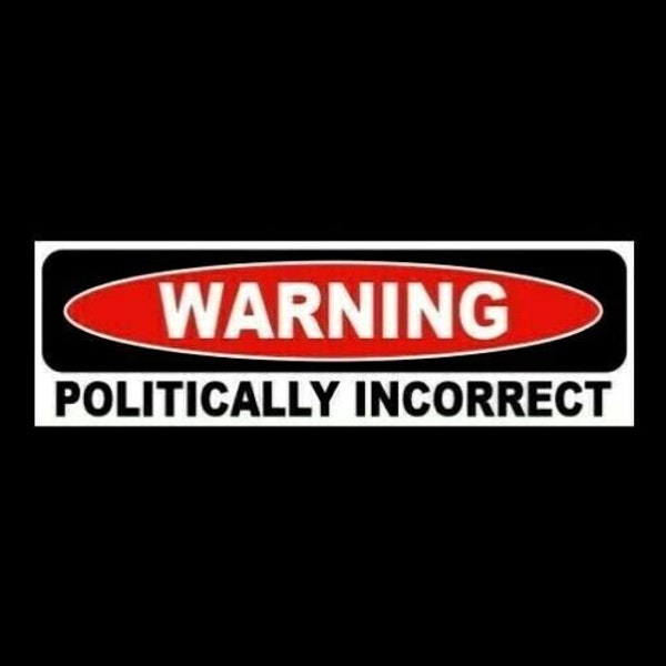 Politically Incorrect Stickers - Etsy