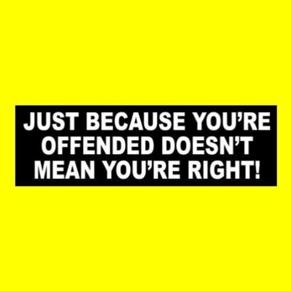 Political Bumper Stickers - Etsy