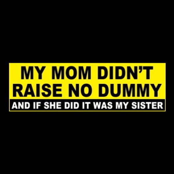 My Mom Didnt Raise No Dummy And If She Did It Was My Brother Etsy