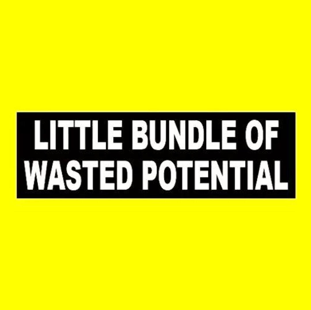 Funny "little Bundle of Wasted Potential" BUMPER STICKER Slacker Decal ...