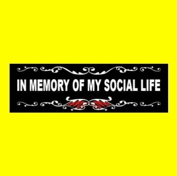 Funny in Memory of My Social Life BUMPER STICKER | Etsy