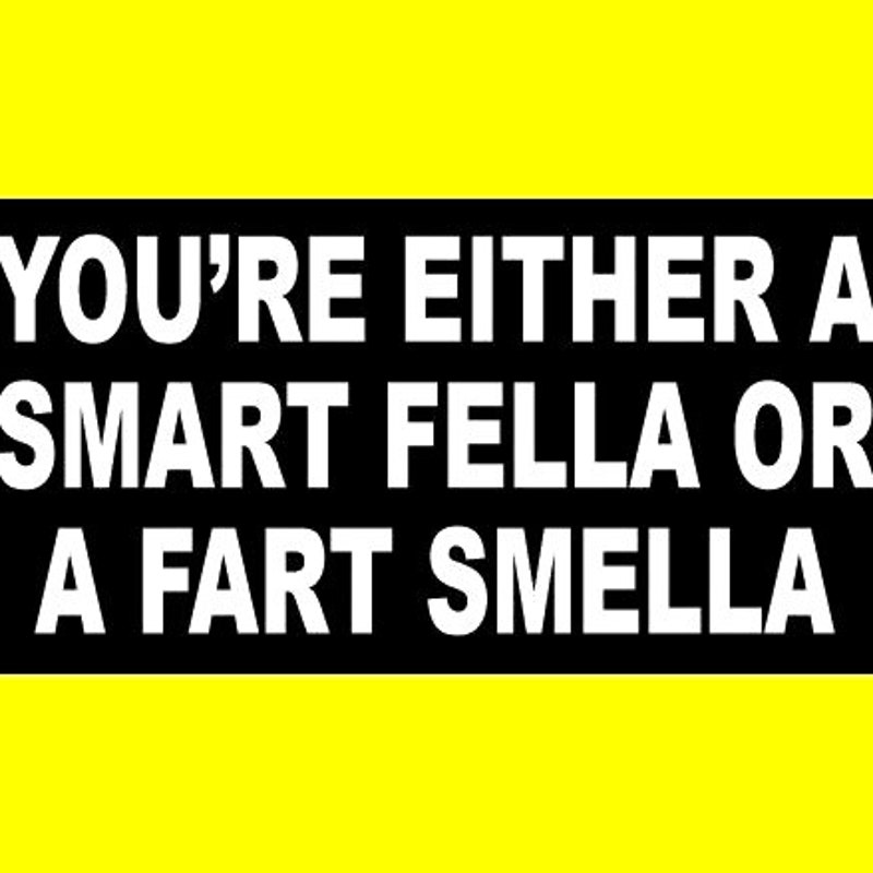 Fart Bumper Stickers - Etsy