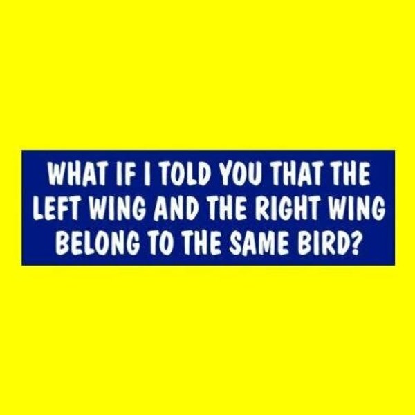 Right Wing Bumper Stickers - Etsy