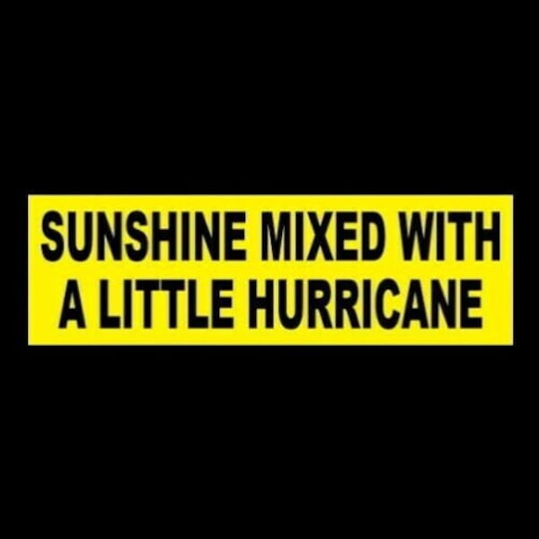 Sunshine Mixed With a Little Hurricane Sign - Etsy