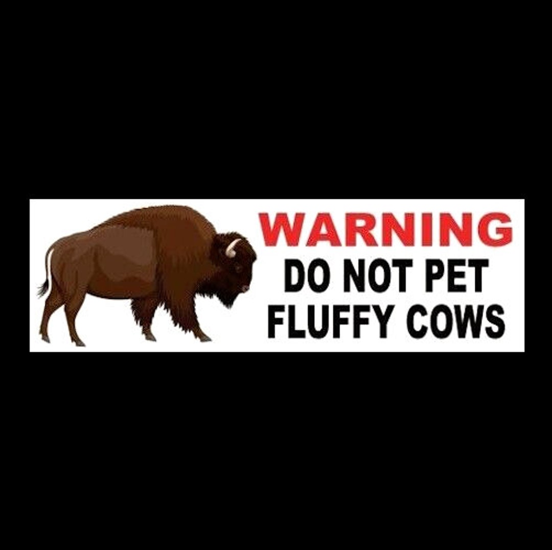 Funny "do Not Pet Fluffy Cows" BUMPER STICKER Buffalo Warning, Decal ...