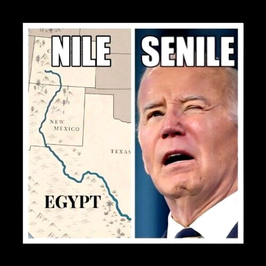 Funny "joe BIDEN = Senile" Bumper Sticker, Nile Vs Senile Anti Joe ...