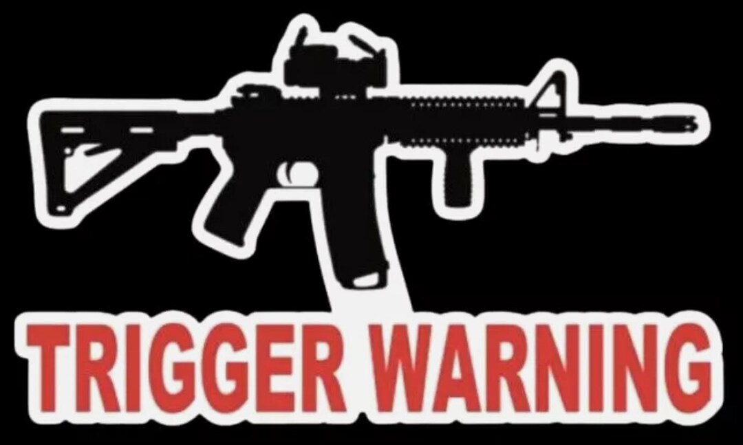 Funny trigger Warning Pro Gun Rights Decal, Bumper Sticker AR-15 ...