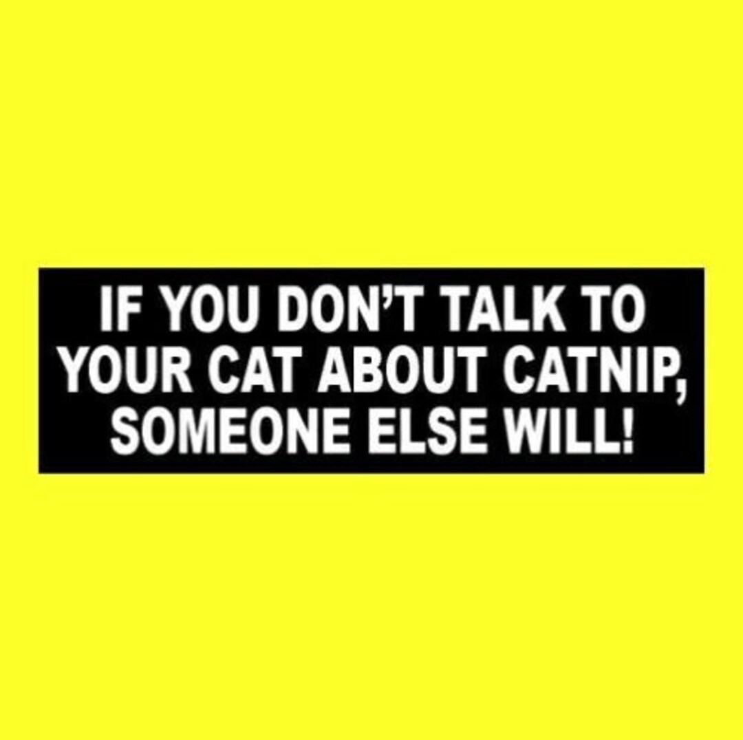 Funny "if You Don't Talk to Your Cat About Catnip, Someone Else Will ...