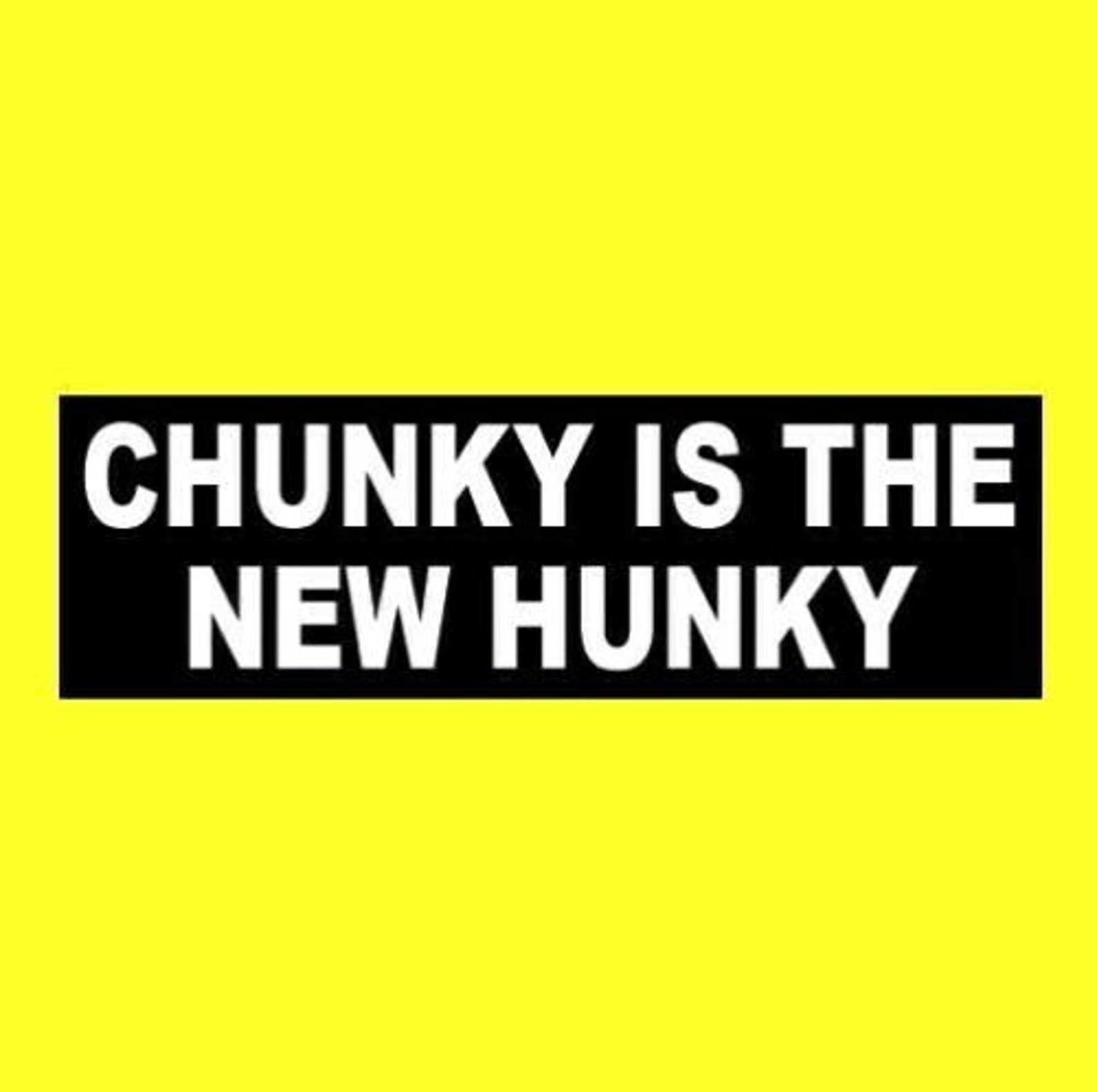 Funny "chunky is the New Hunky" BUMPER STICKER Decal, Redneck, Rat Rod ...