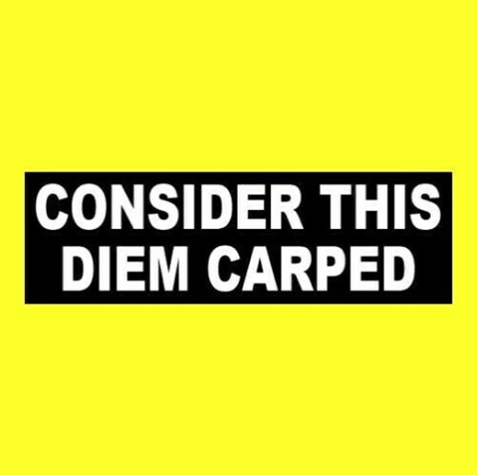 Funny "consider This Diem Carped" BUMPER STICKER Carpe Diem, Seize the ...