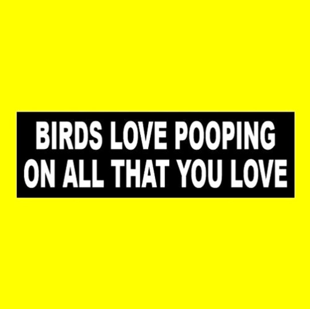 Funny "birds Love Pooping on All That You Love" BUMPER STICKER Window ...
