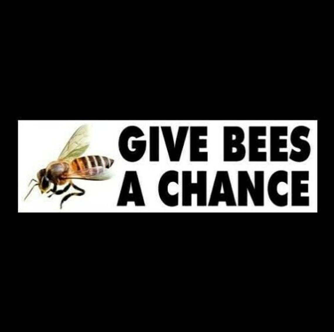 Funny "give BEES A Chance" Save the Bees Bumper Sticker, Local Honey ...