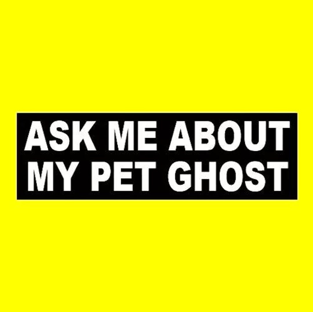 Funny "ask Me About My Pet Ghost" BUMPER STICKER Ghost Hunter Haunted ...