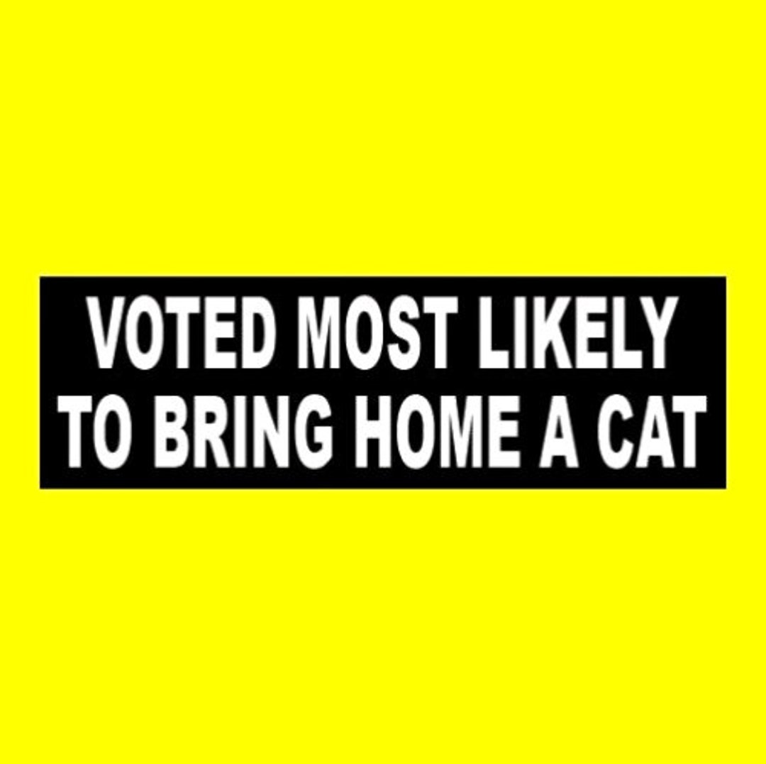 Funny "voted Most Likely to Bring Home a Cat" BUMPER STICKER Adopt ...