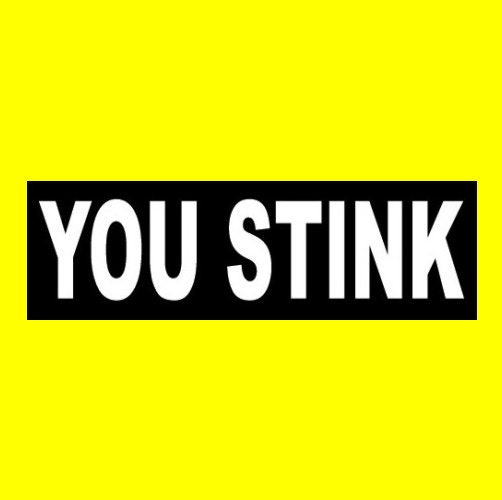 Funny "you Stink" Window Decal STICKER, Rude Bumper Sticker, Humorous ...