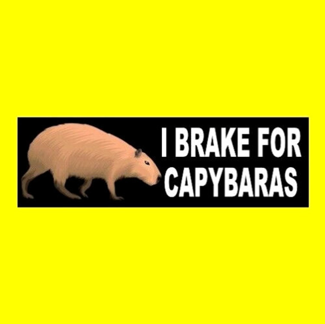 Funny "i BRAKE FOR Capybaras" Bumper Sticker, Weird Decal Rodent South ...