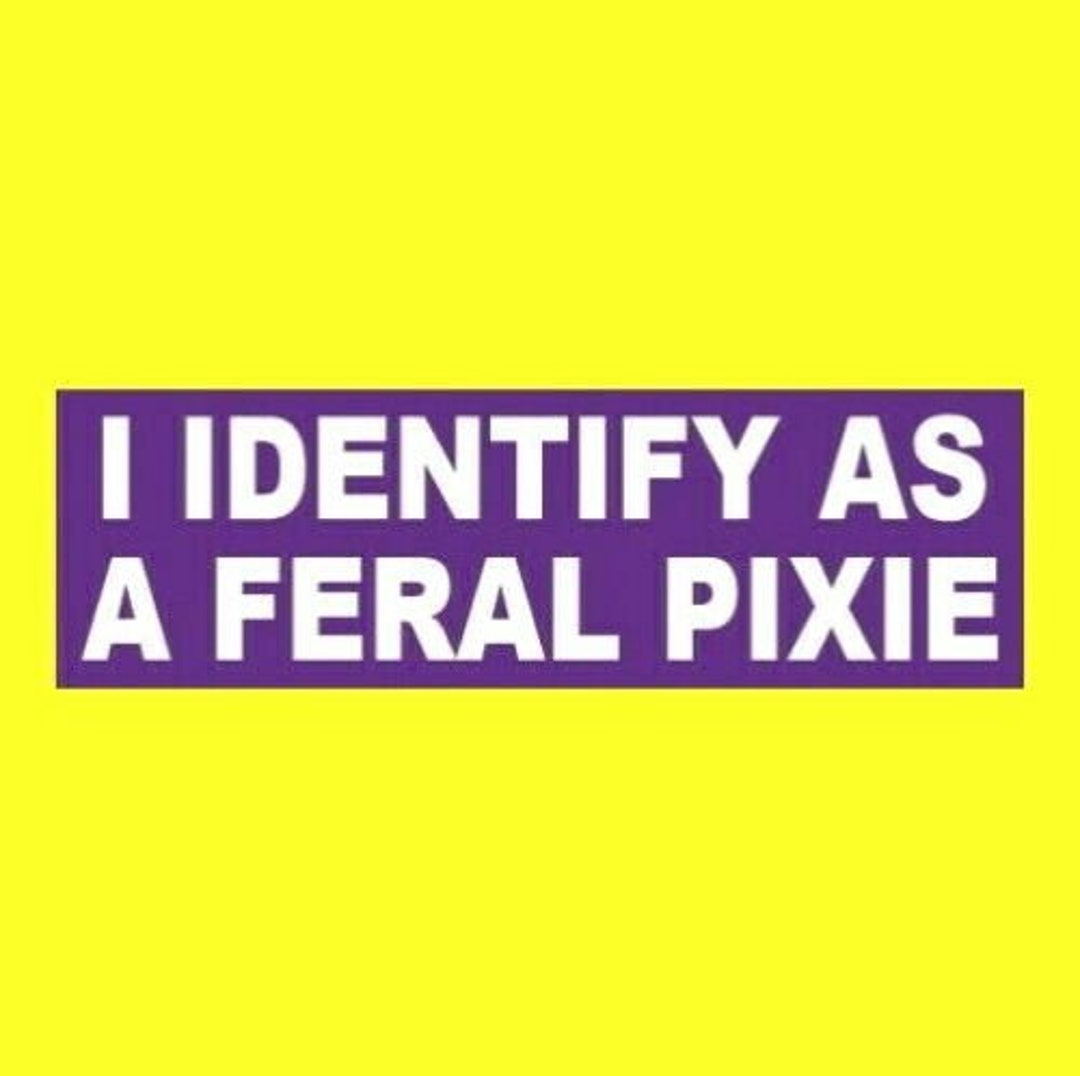 Funny "i Identify as a Feral Pixie" BUMPER STICKER, Window Decal ...