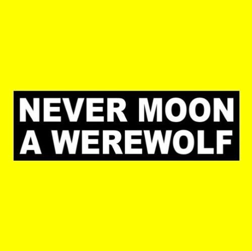 Funny "never MOON A Werewolf" Bumper Sticker, Classic, Horror Prop ...