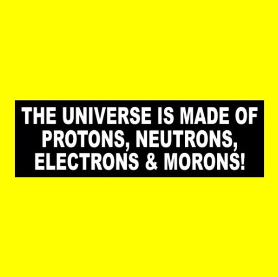 Funny the Universe is Made of Protons Neutrons | Etsy