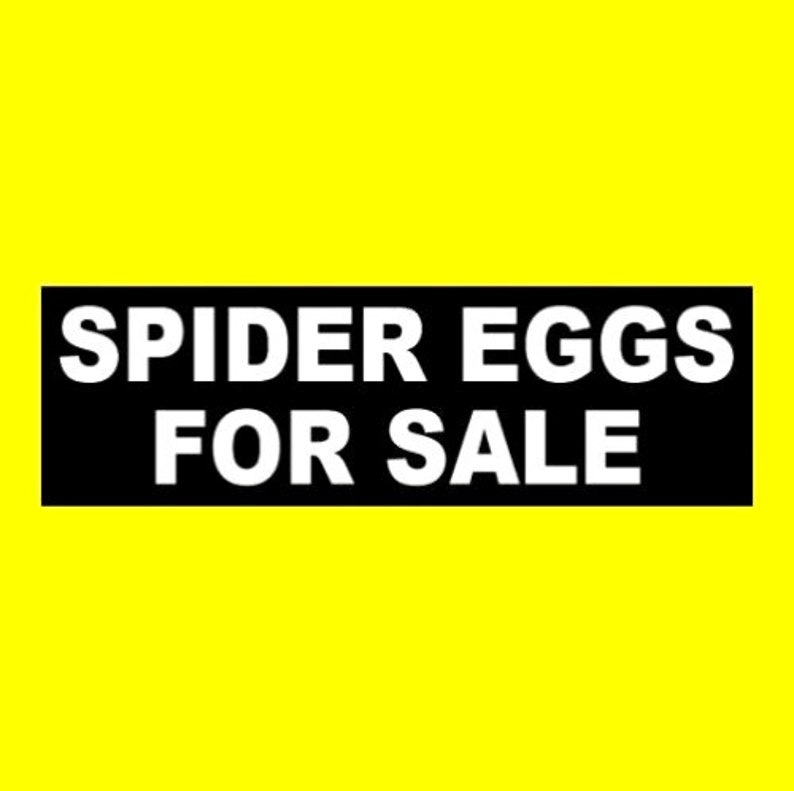 Funny "spider Eggs for Sale" BUMPER STICKER Horror Prop Decal Sign ...