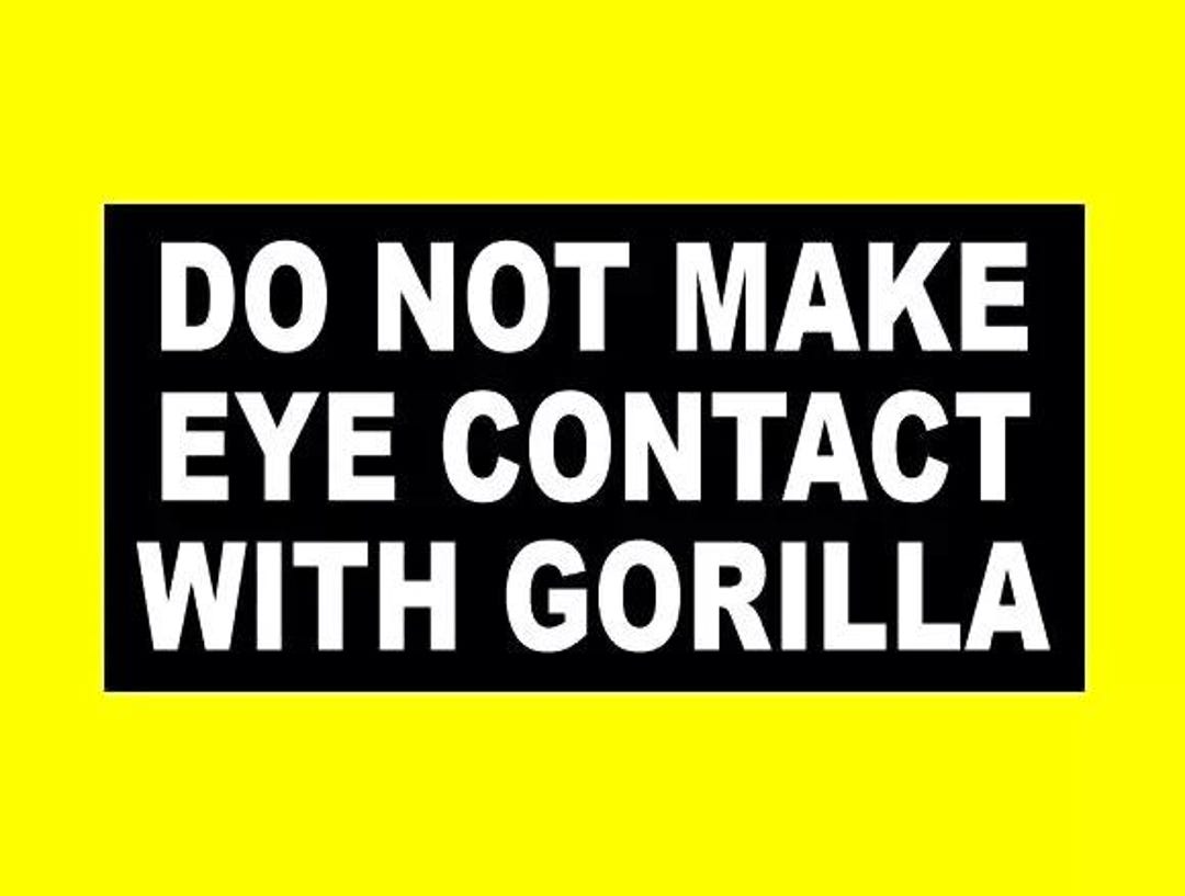 Funny "do Not Make Eye Contact With Eye Gorilla" WARNING DECAL Ape ...