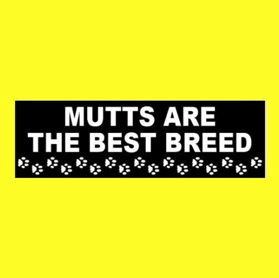 Funny "mutts Are the Best Breed" BUMPER STICKER Rescue Dog Parent Decal ...