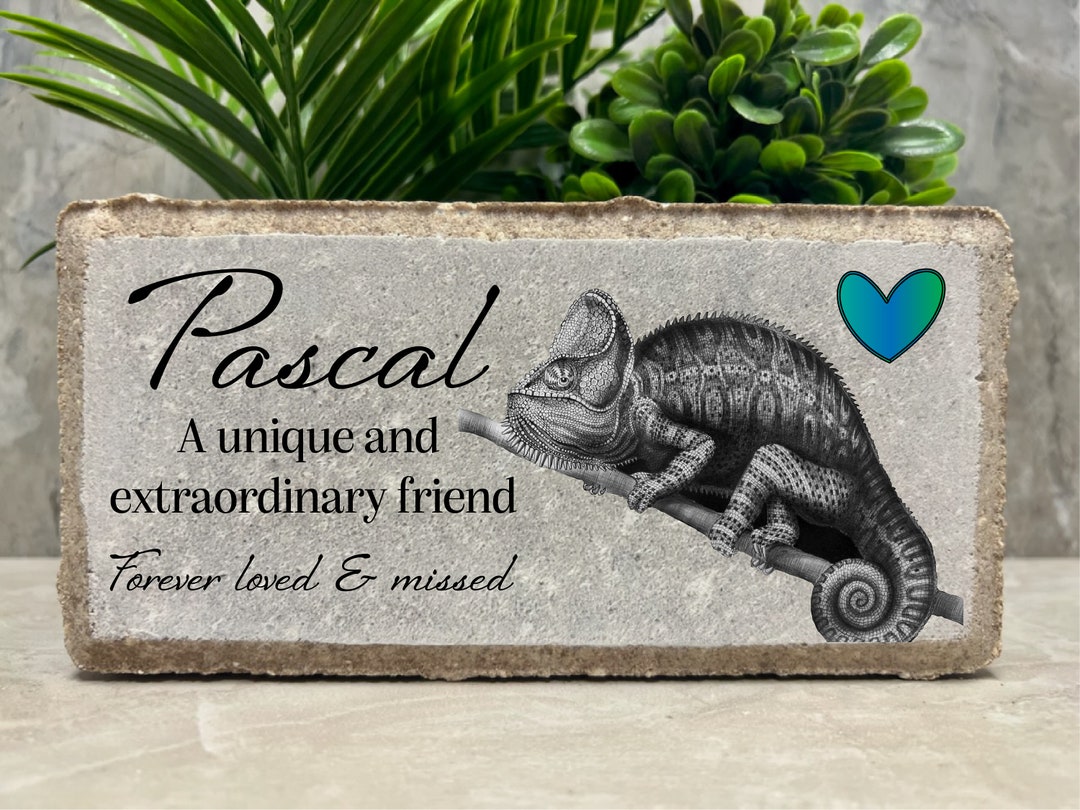 Personalized Lizard Memorial Stone: Pet Loss Gift, Concrete Paver (4x8 ...