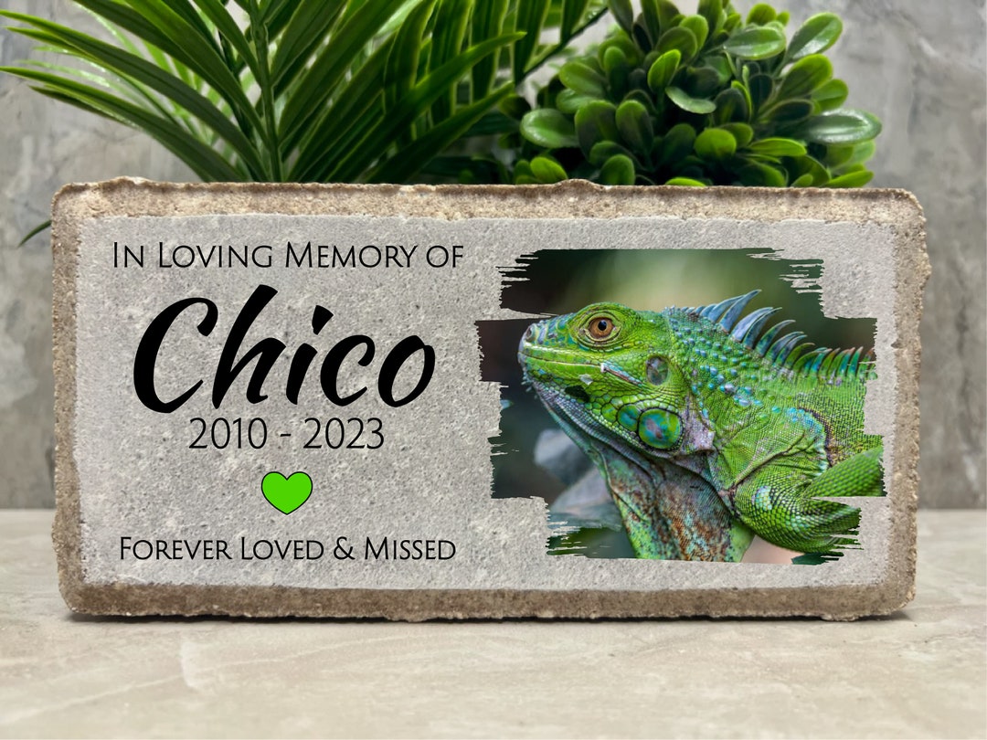 Iguana Memorial Stone. Personalized 8x4 Pet Loss Memorial. Lizard ...