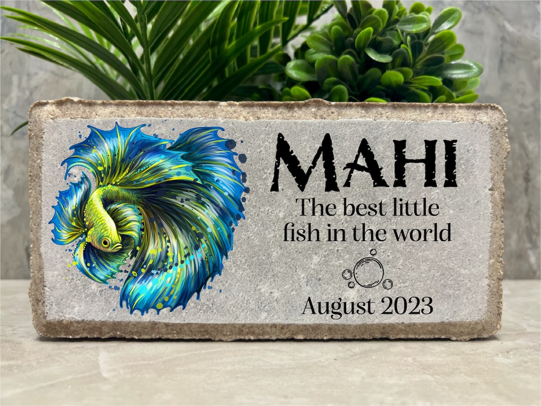 Memorial Stone. Betta Fish. Siamese Fighting Fish. - Etsy