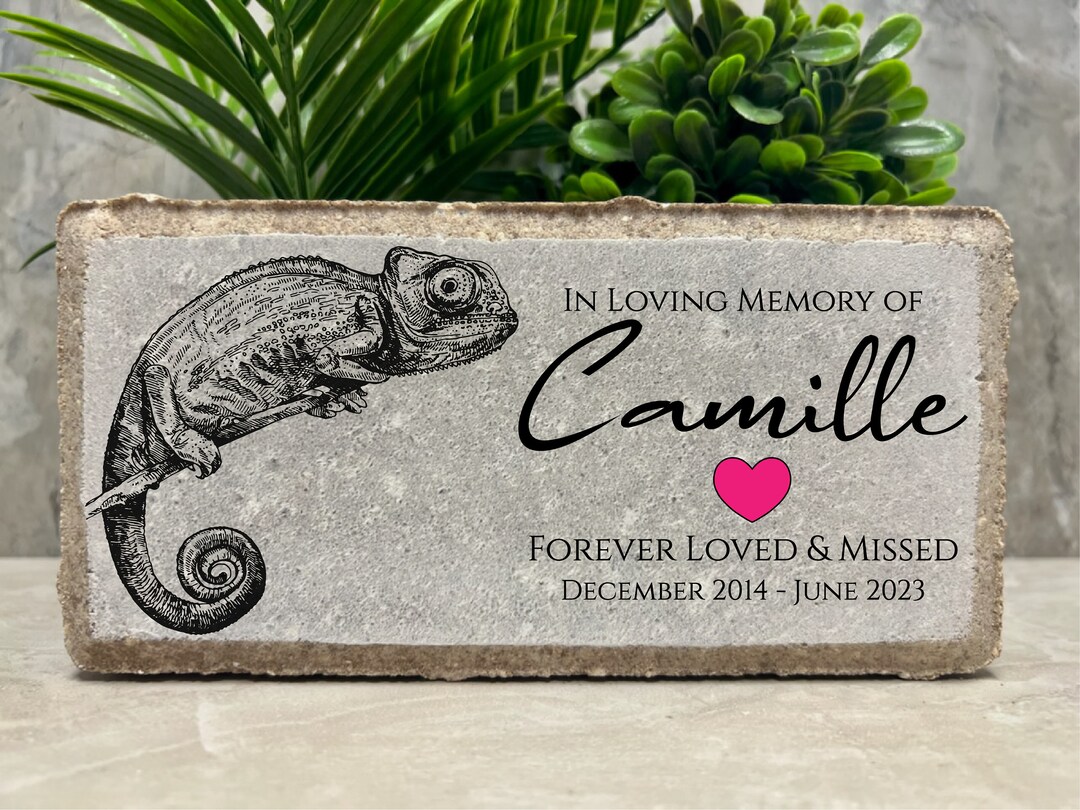 Personalized Lizard Memorial Stone: Chameleon Reptile Paver, Sympathy ...