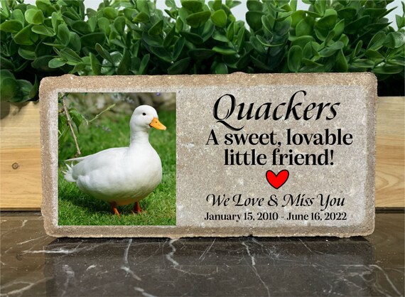 Pet Duck Memorial. 8x4 PERSONALIZED Burial Marker. Duck. Pet - Etsy
