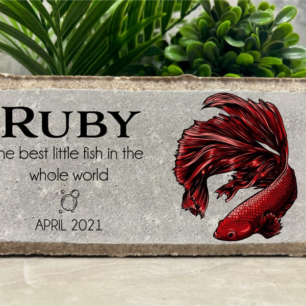 Betta Fish - Etsy