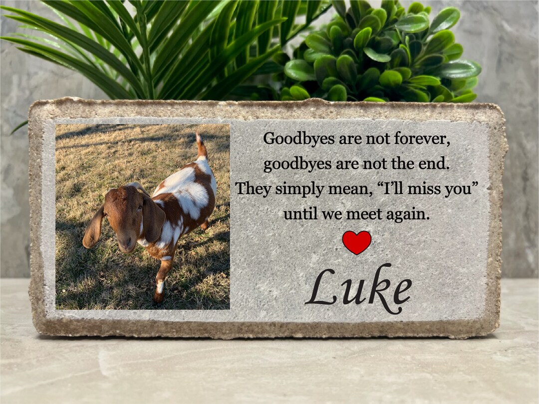 Pet Loss Memorial. Goat. Lamb. Sheep. 8x4 PERSONALIZED Burial Marker ...