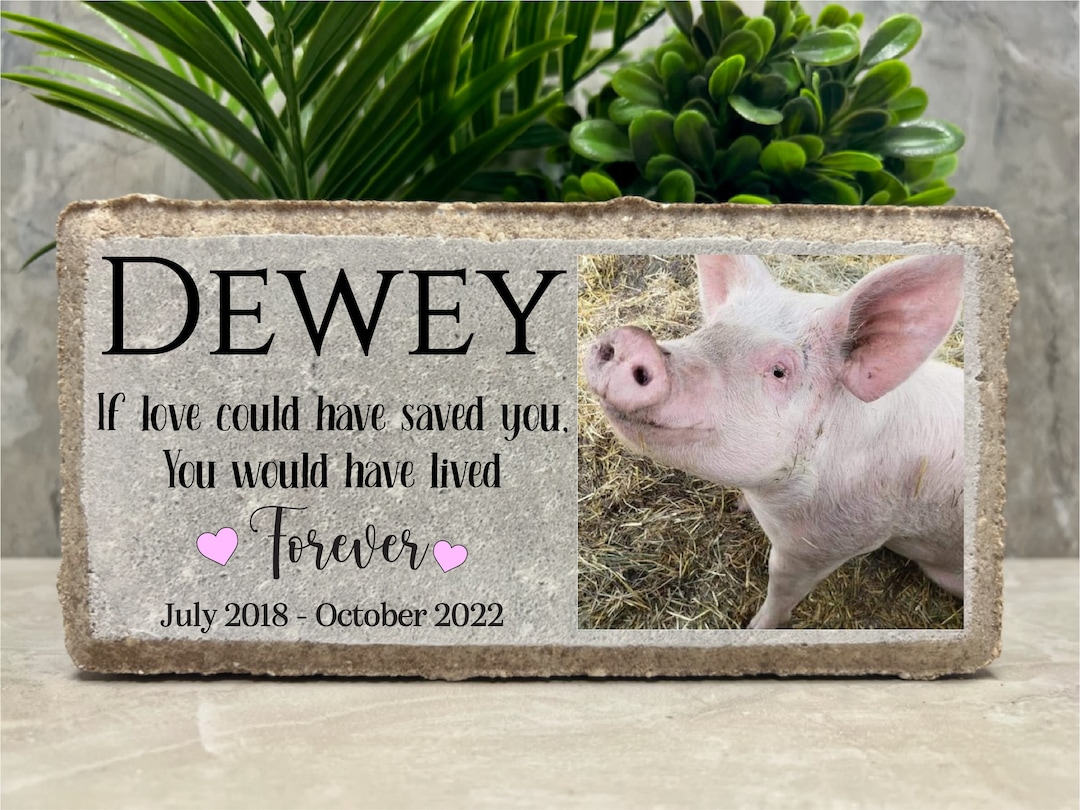 Memorial Stone. Pig. Piglet. Hog. Personalized 8x4 Brick. Burial Marker ...