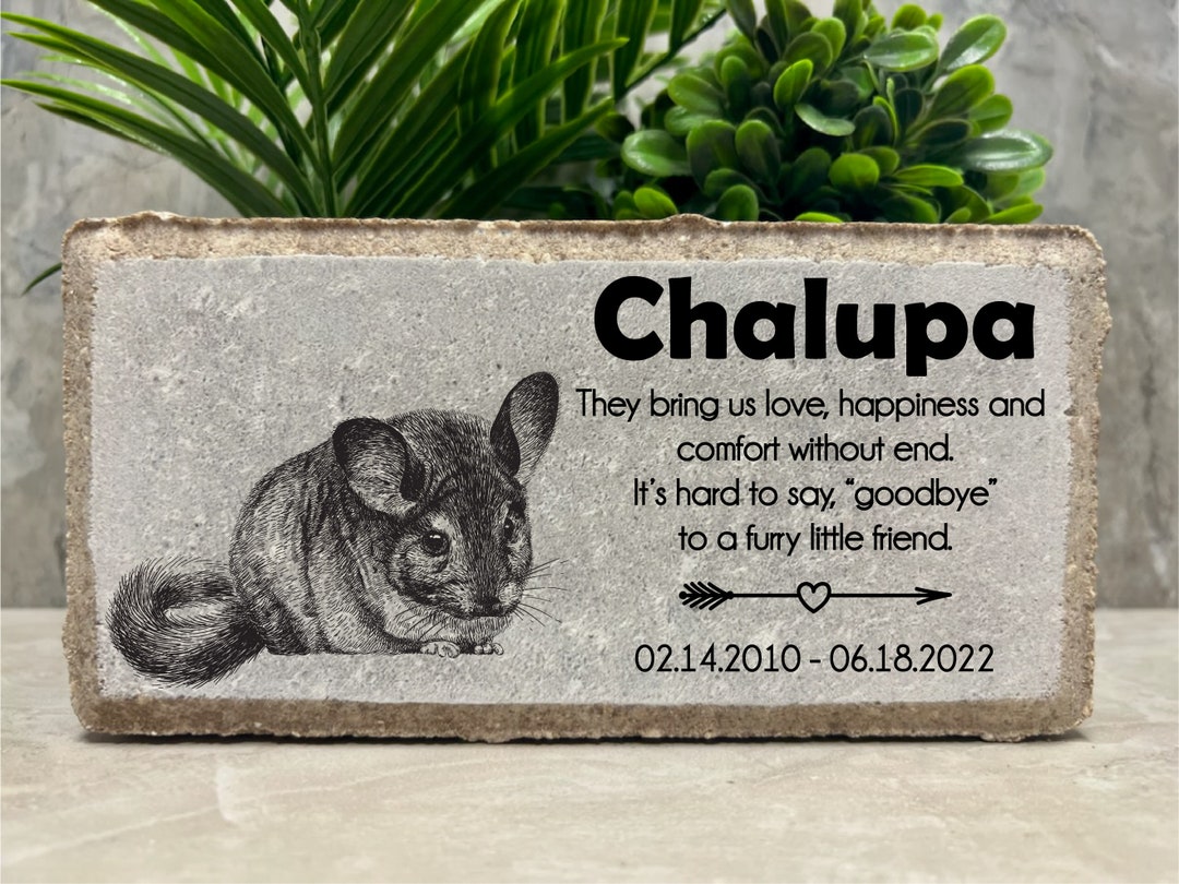 Personalized Chinchilla Memorial Stone: Pet Loss Sympathy Gift - Etsy