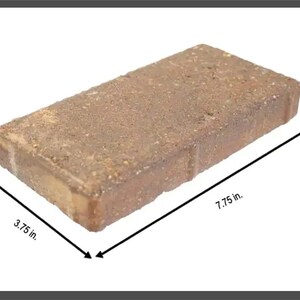 Memorial Stone. Betta Fish. Siamese Fighting Fish. Personalized Fish ...