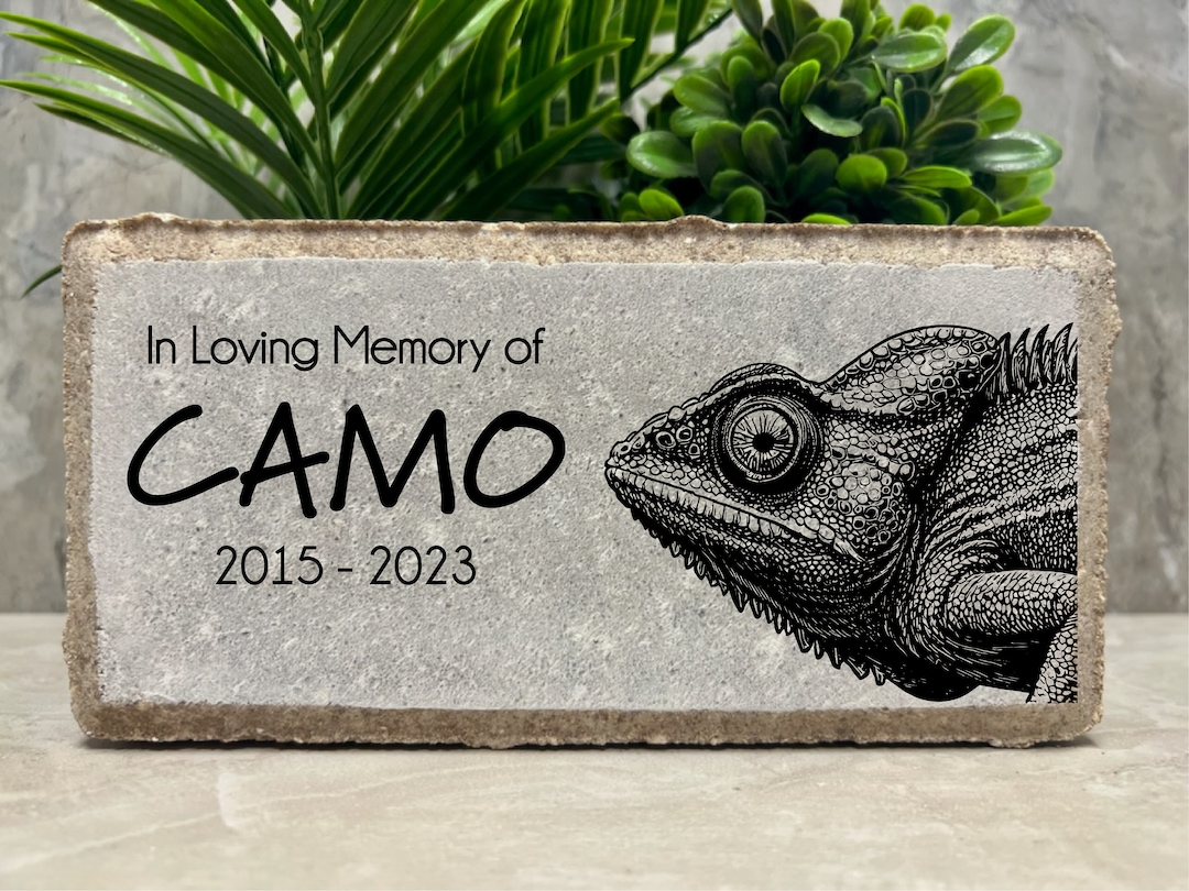 Memorial Stone. Chameleon. Lizard. Personalized 8x4 Burial Marker ...
