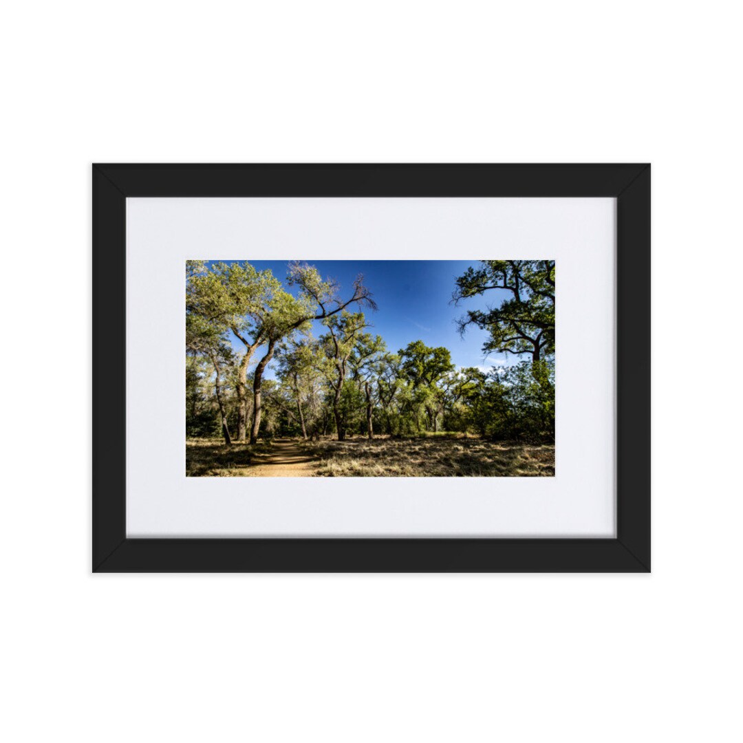 Rio Grande Bosque, Albuquerque, Matte Paper mit Passepartout gerahmt ...