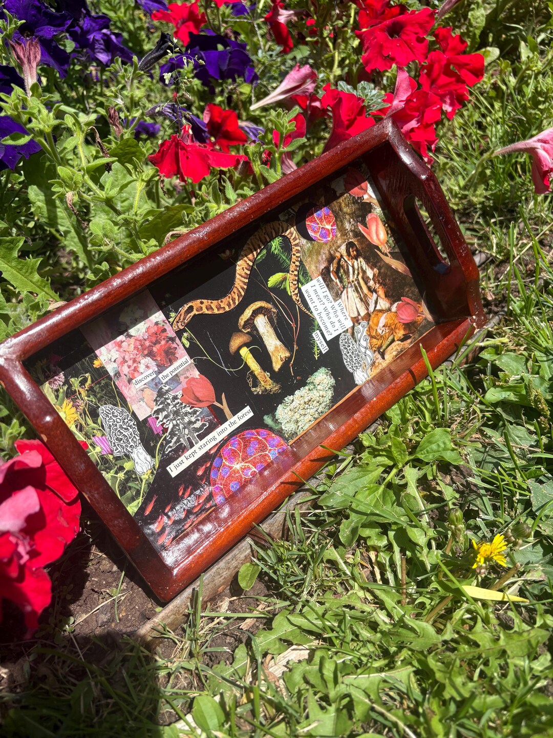 Ask the Forest | Collage Tray | Original Collage Decor | One of a Kind ...
