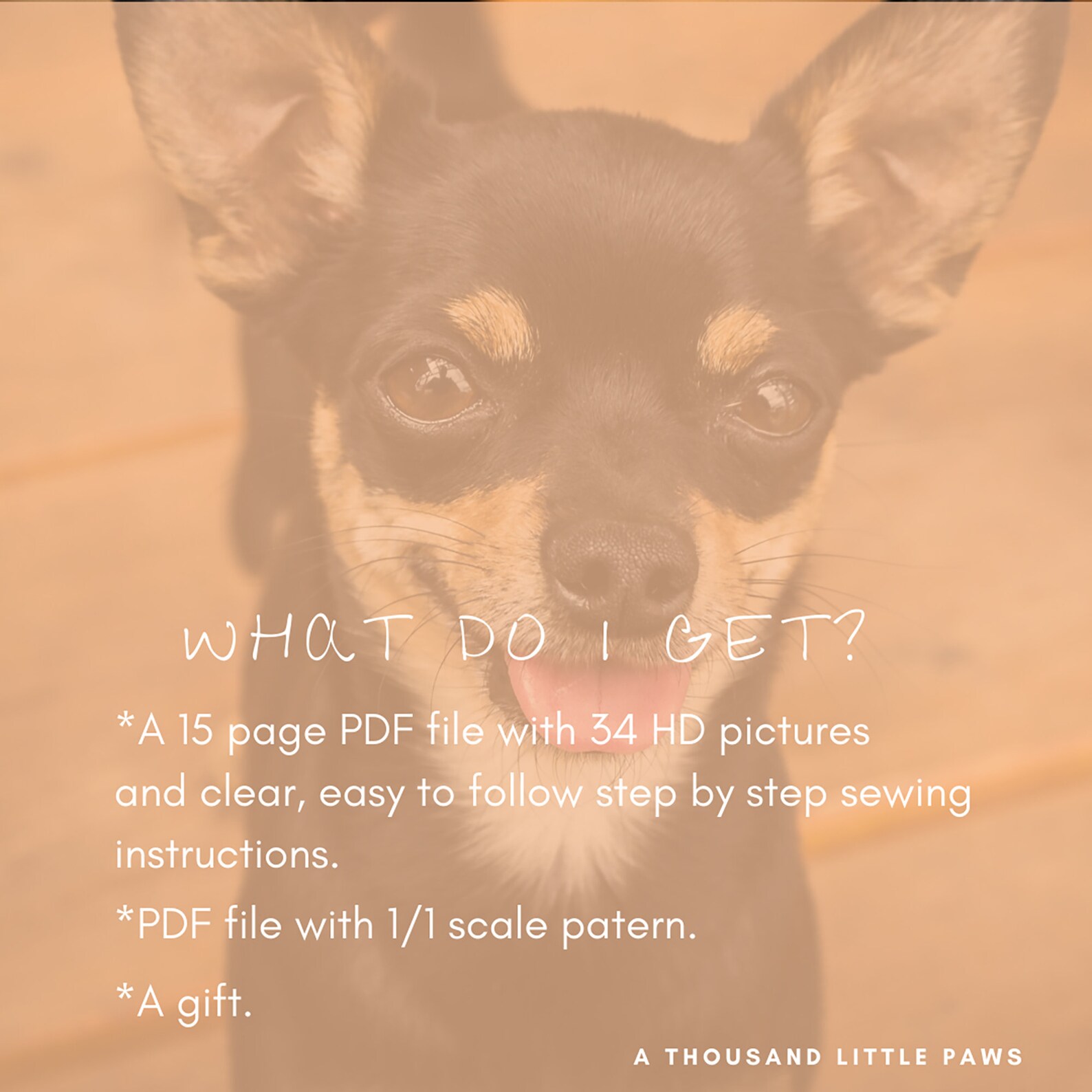 Color Block Dog Tank Top PDF Pattern - Dog Tee Sewing Pattern - Pet ...