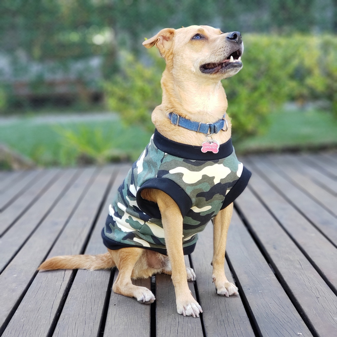 Dog Clothes Pattern Pattern for Dogs Dog Top PDF Dog Apparel Dog Tee ...