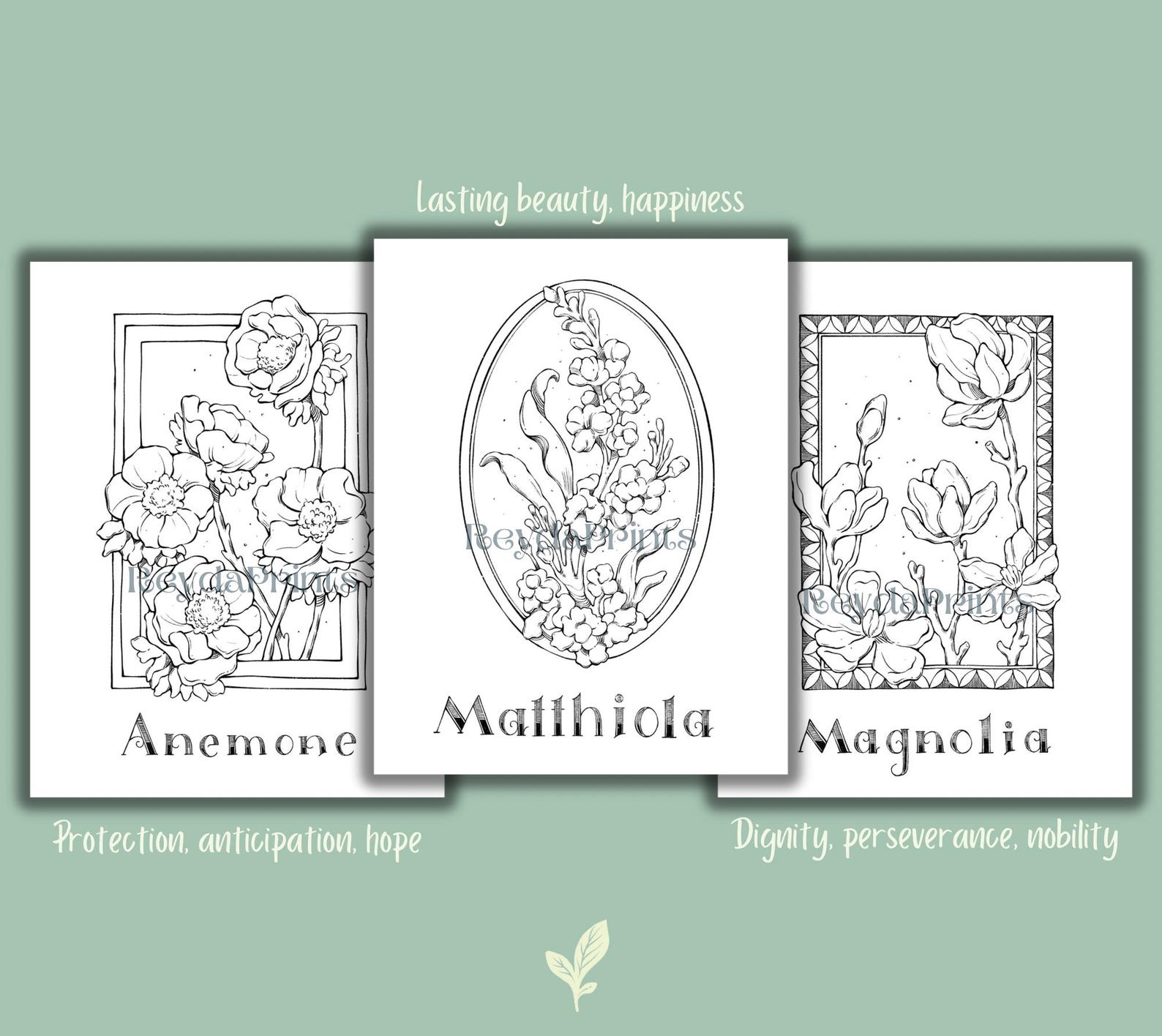 Herbarium Botanical Digital Coloring Pages, Flowers, Bundle, Procreate ...