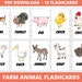 Farm Animal Flashcards, Kindergarten Preschool Printable Flashcards for ...
