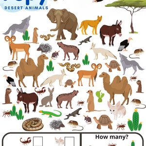 I Spy Game, Preschool Worksheets, Desert Animals and Outer Space ...