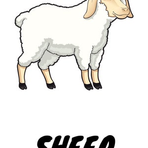 Farm Animal Flashcards, Kindergarten Preschool Printable Flashcards for ...