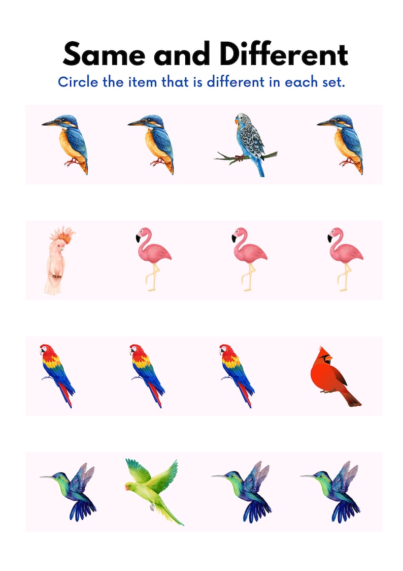 Toddler Activity Pages With Shapes, Big, Small, Tall, Short Worksheets ...