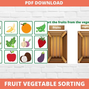 Fruit Vegetable Sorting Game, Preschool Sorting Activities ...