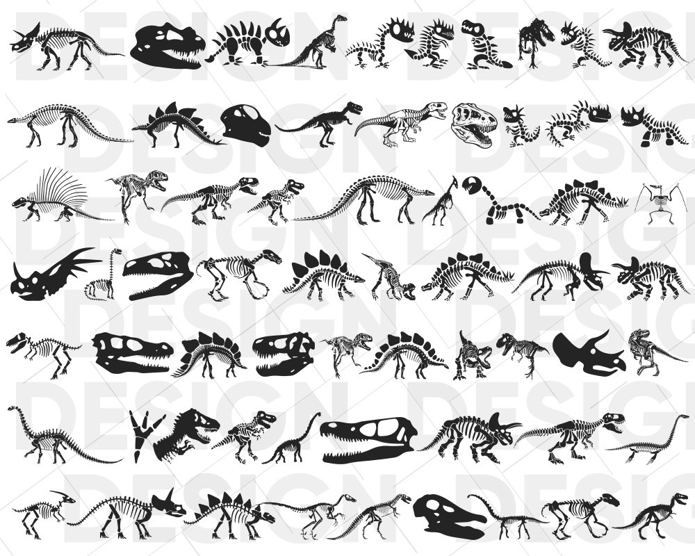 70 DINOSAUR SKELETON SVG Bundle Dinosaur Skeleton - Etsy