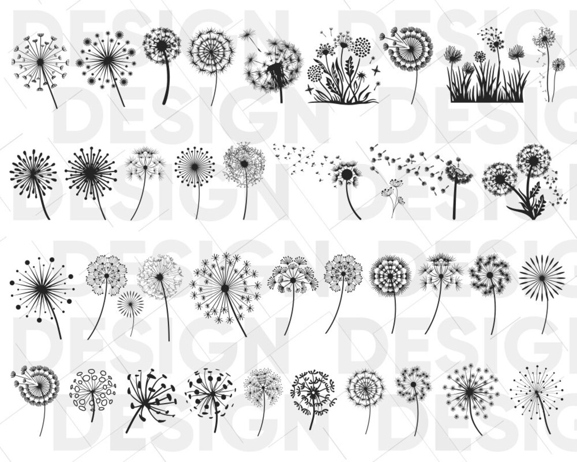 35 DANDELIONS FLOWER SVG Bundle Dandelion Png Dandelion - Etsy